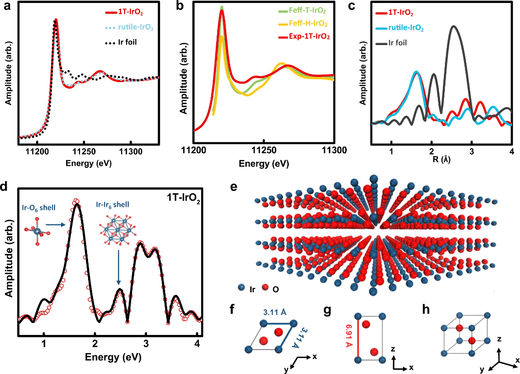 蔻享--共享科学、传播科学