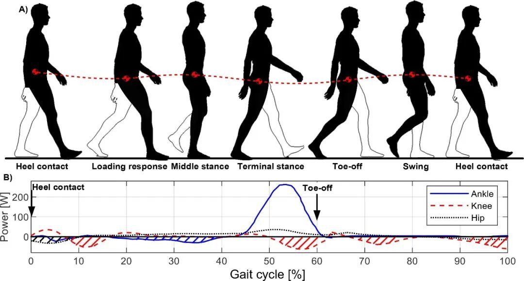 蔻享--共享科学、传播科学