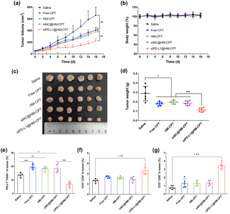 蔻享--共享科学、传播科学