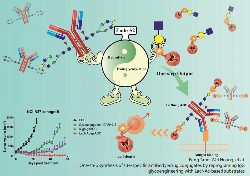 蔻享--共享科学、传播科学