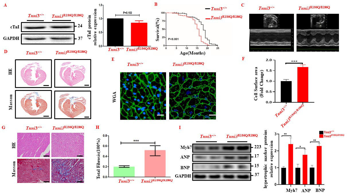蔻享--共享科学、传播科学