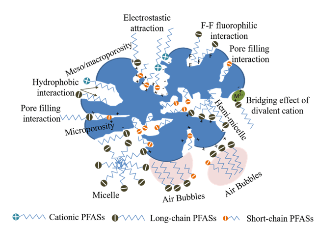 蔻享--共享科学、传播科学
